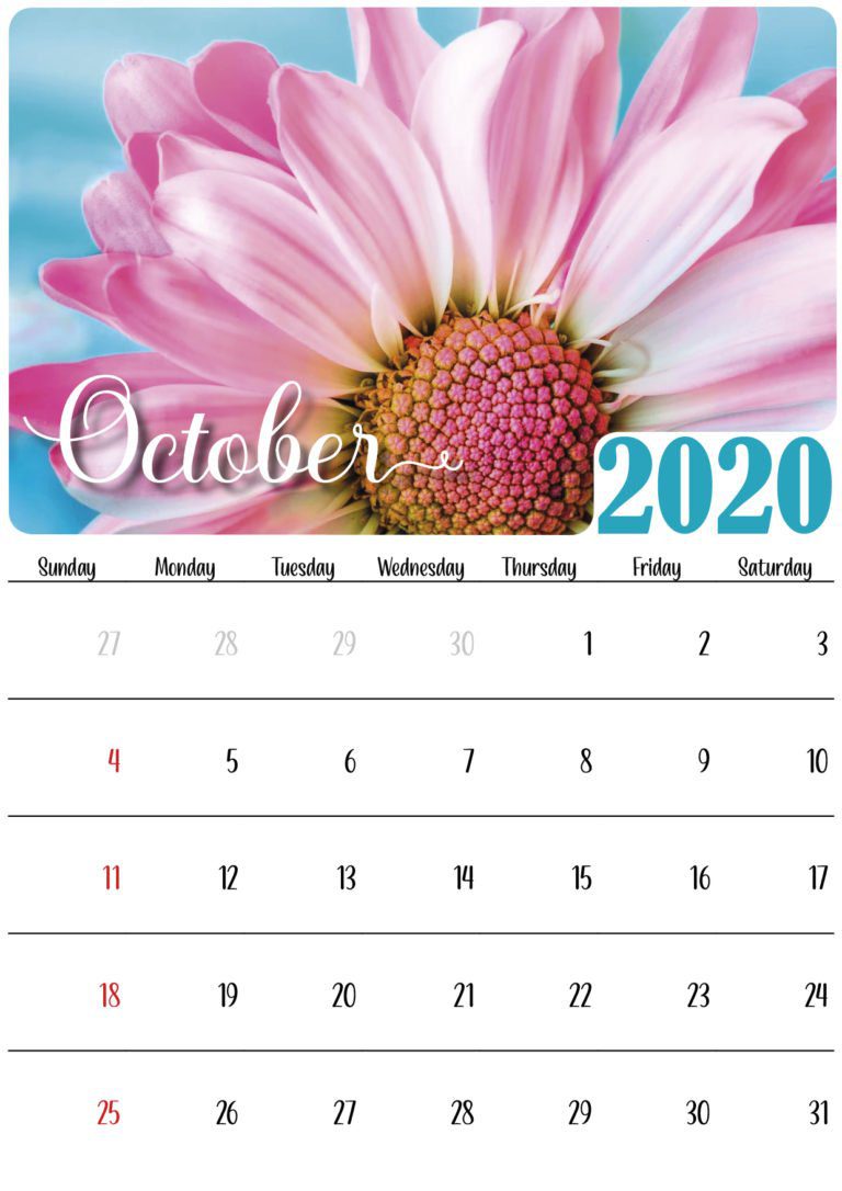 Floral October 2020 Calendar Free To Download