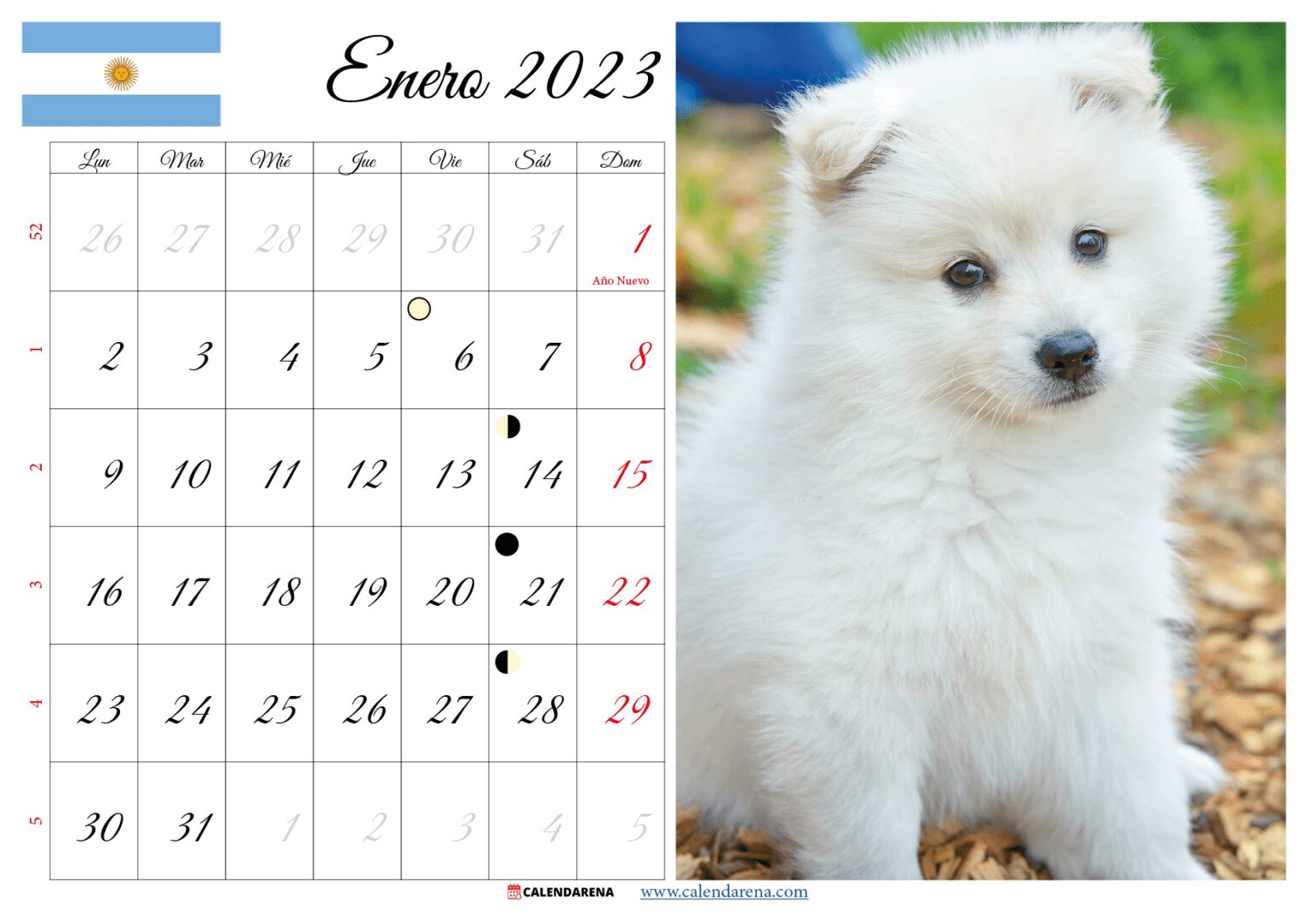 Calendario Enero 2023 Argentina Para Imprimir