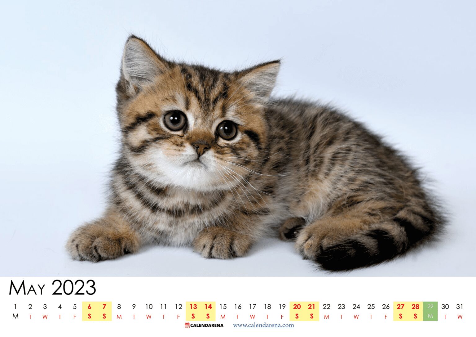 Download Free May 2023 Calendar Printable USA